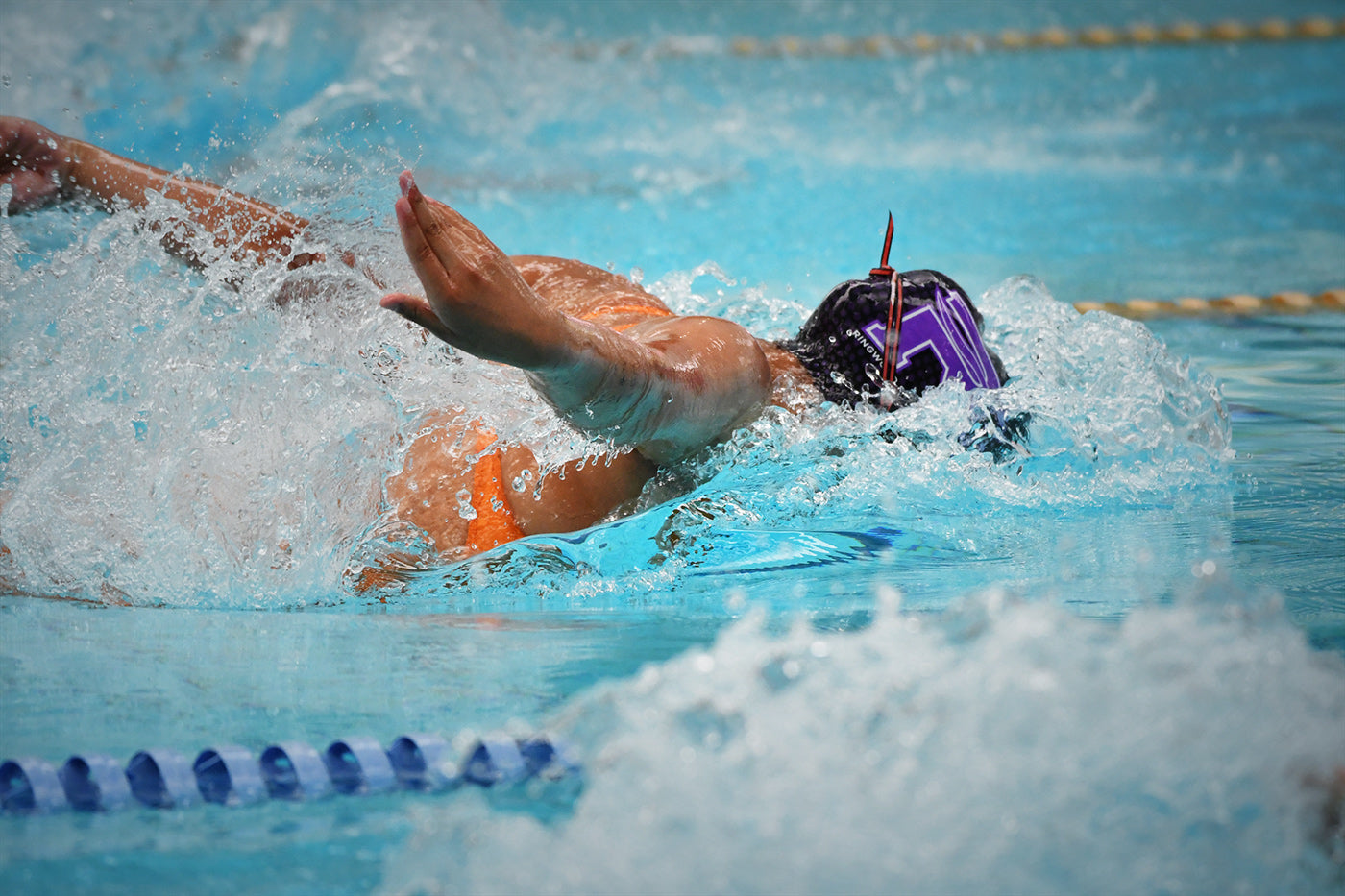 Squad Pathway Description – ringwoodswimmingclub